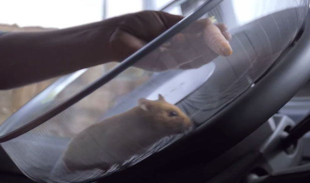 The 2014 Awards Report: See the World's Most Creative Agencies ...